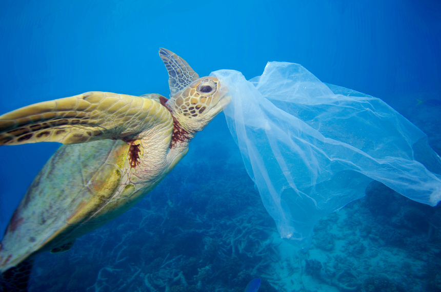 Plastica in mare, Greenpeace: stop all’usa e getta - GSA Igiene Urbana